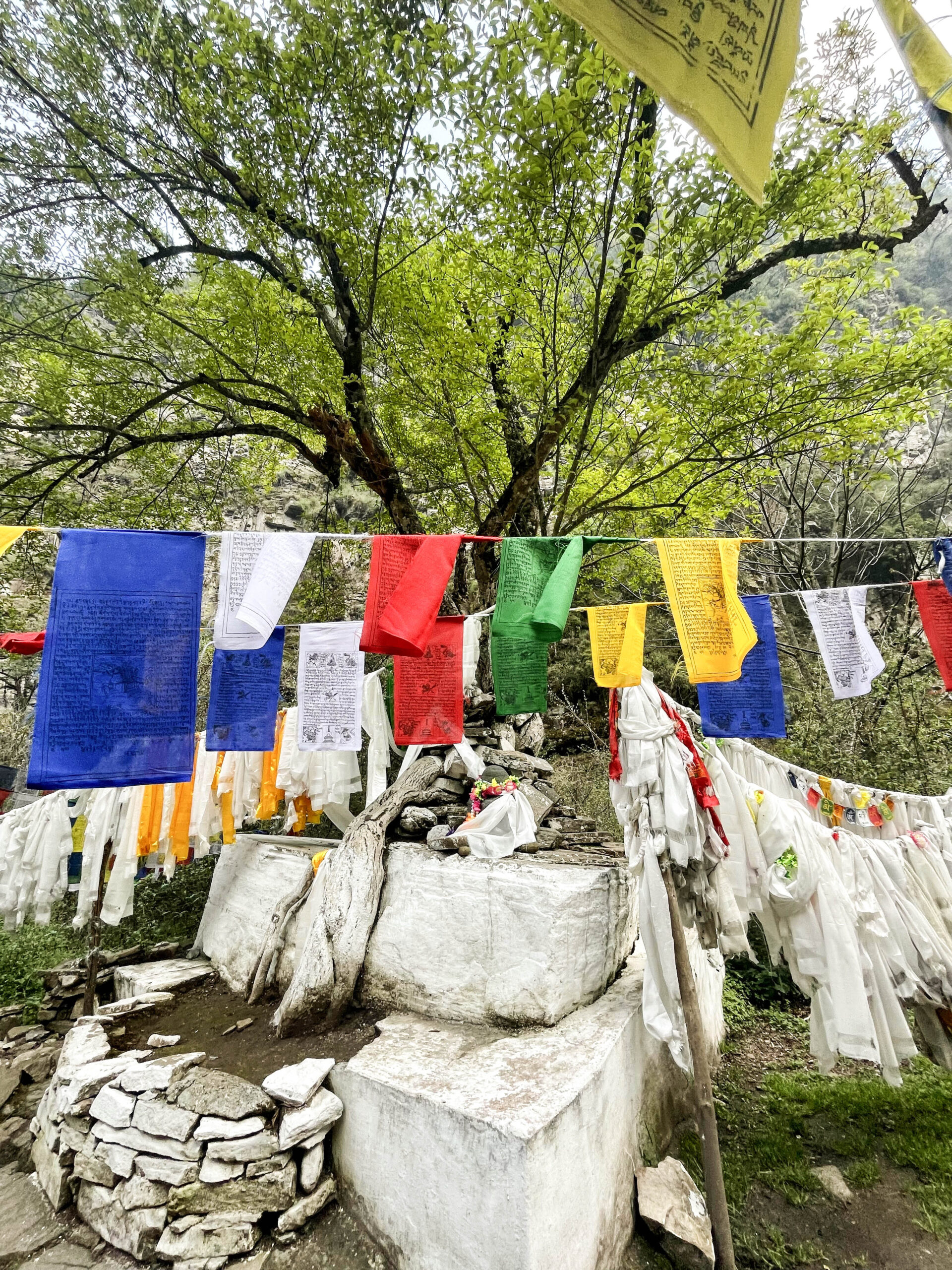 A gem at the back of beyond: Zemithang