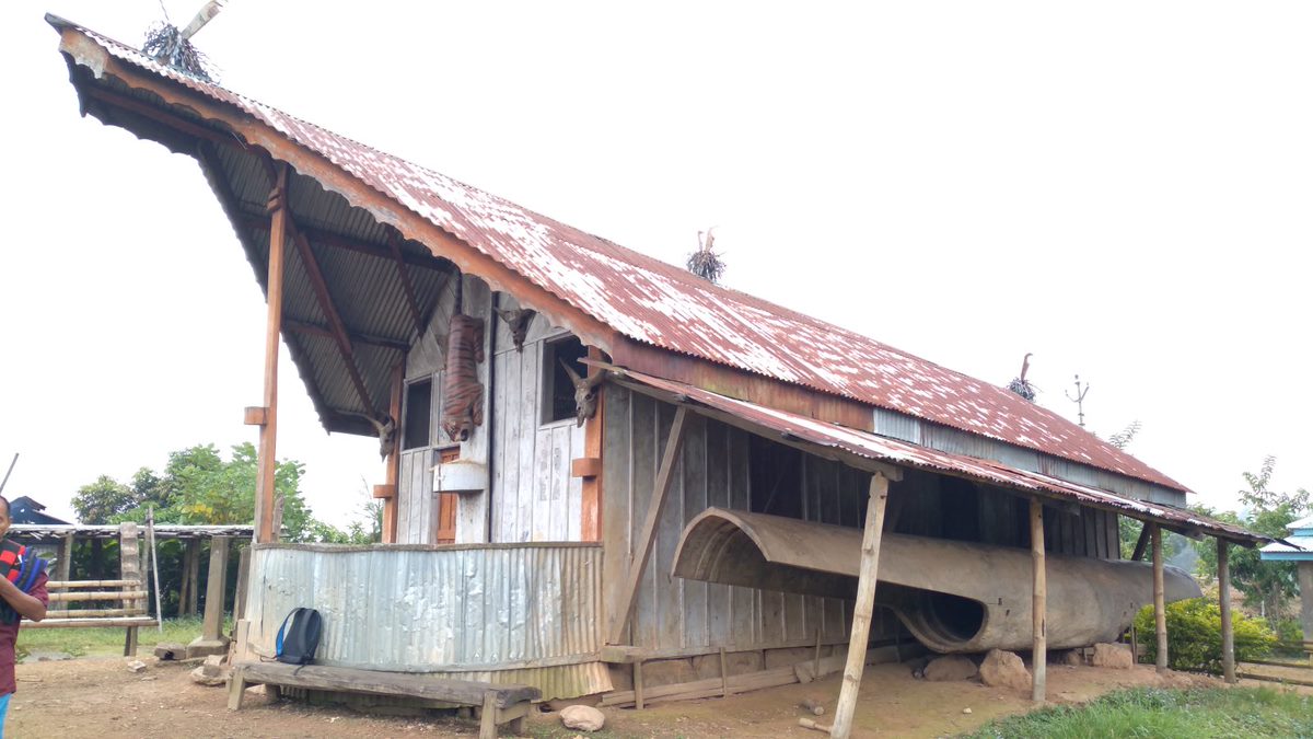 Nagaland's Kingniu village navigates ancestral wisdom beyond borders